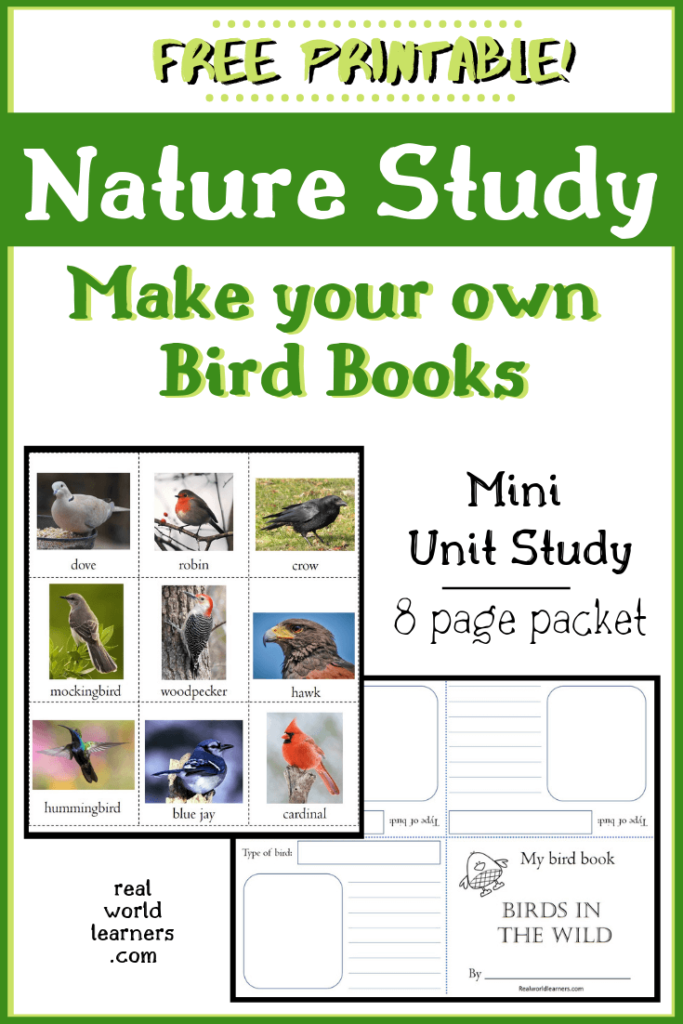 Nature study free printable Bird Book ⋆ R.E.A.L.-World Learners